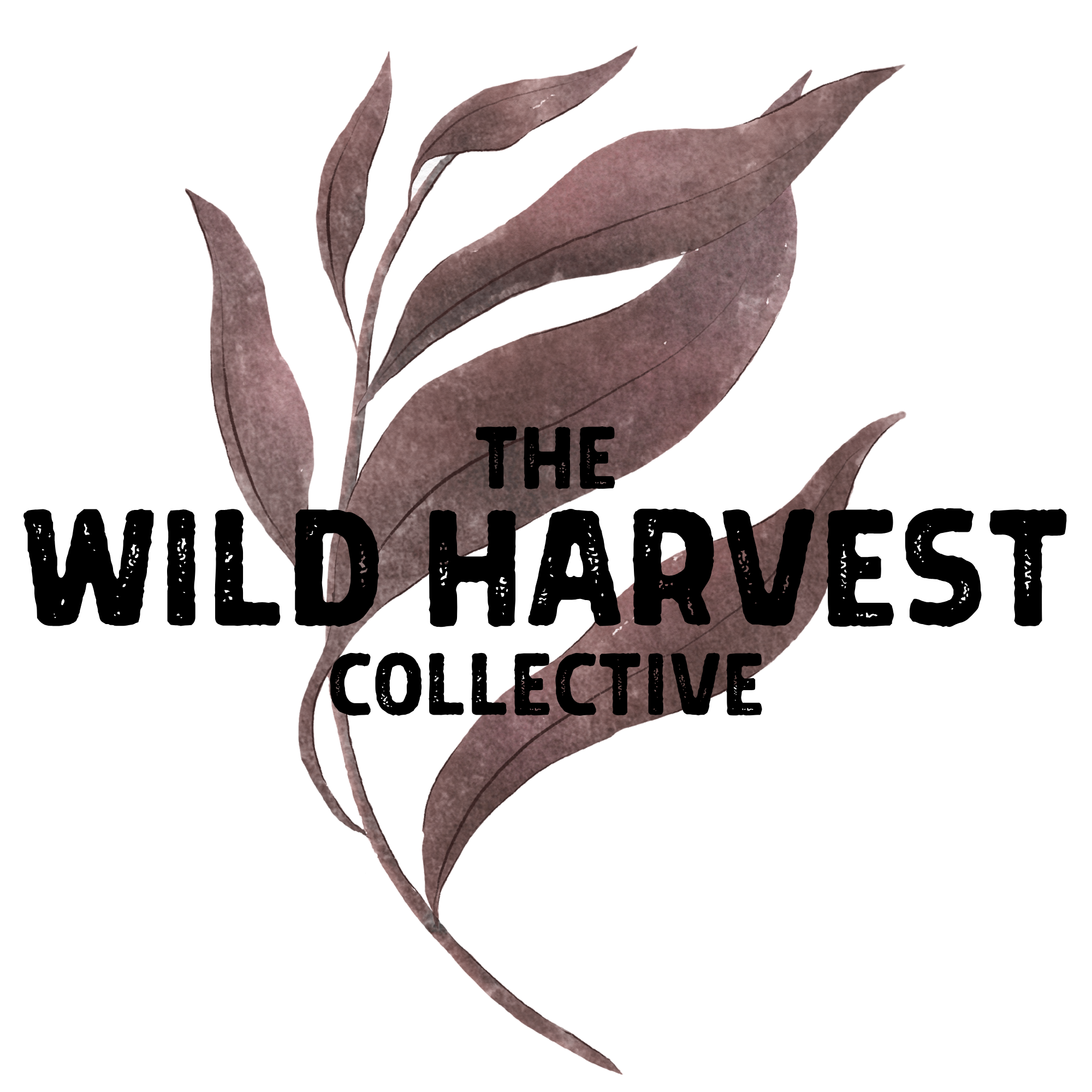The Wild Harvest Collective